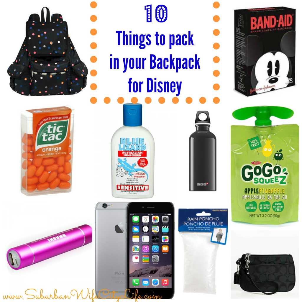 10 Things to put in your Backpack for Disney - Suburban Wife, City Life