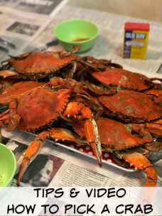 Tips and Video for How to Pick a Crab - Suburban Wife, City Life